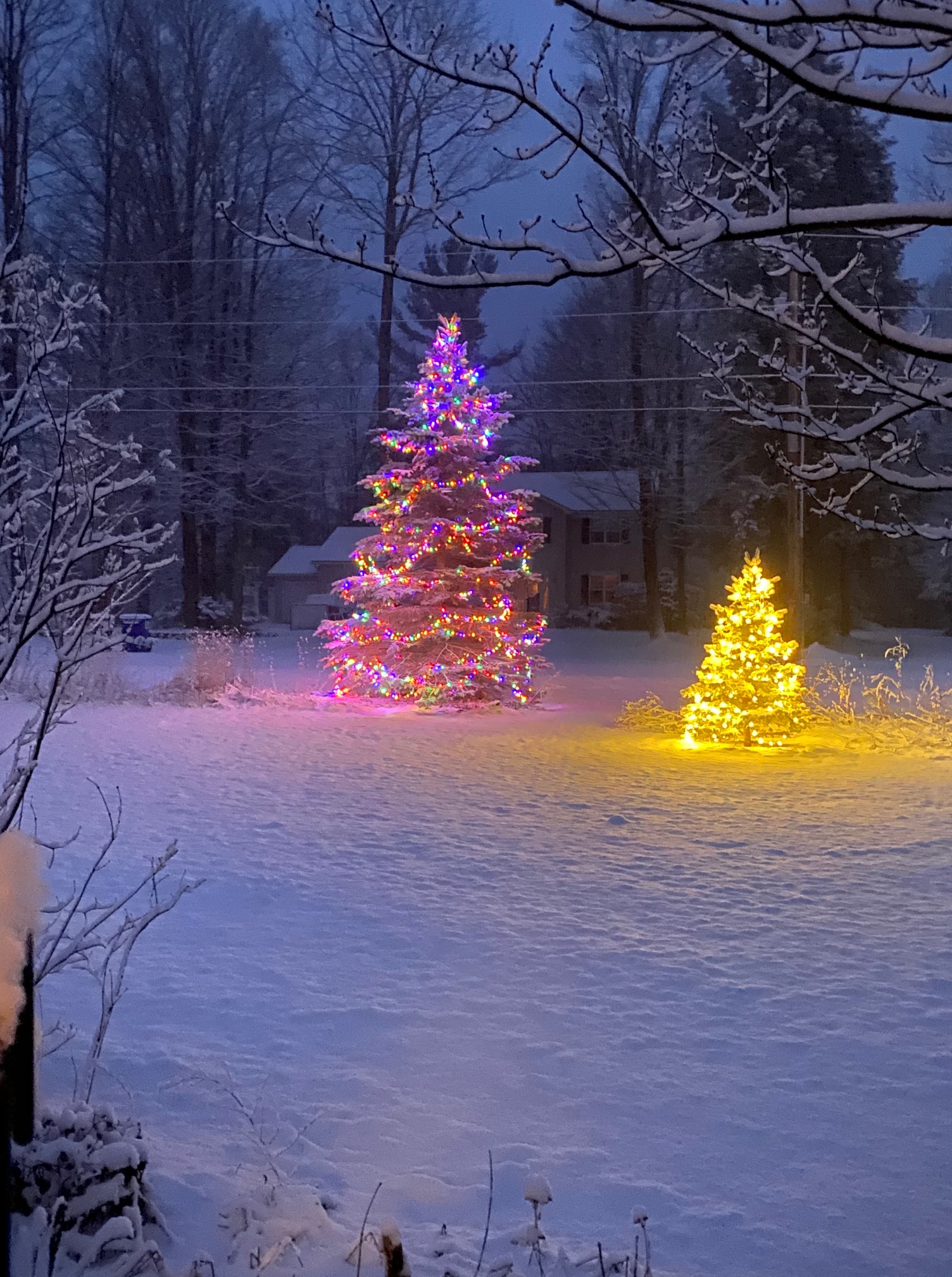 Christmas in April? – The Enchanted Forest